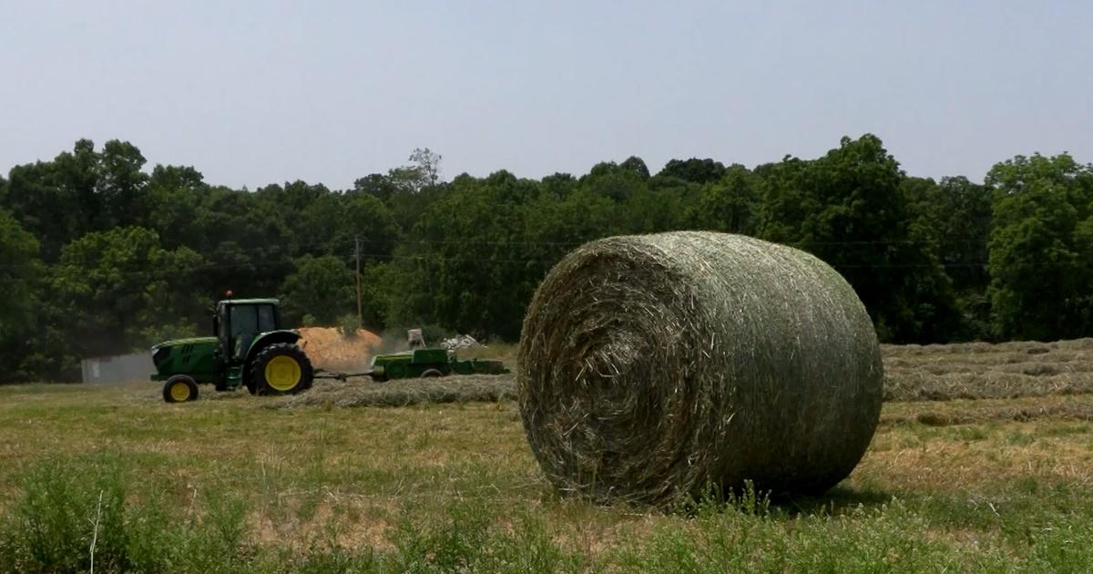 Kentucky Edition | KSU Helps Open New Hay Testing Lab | Season 3 ...