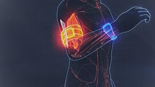 Watch NOVA PBS Full Episodes