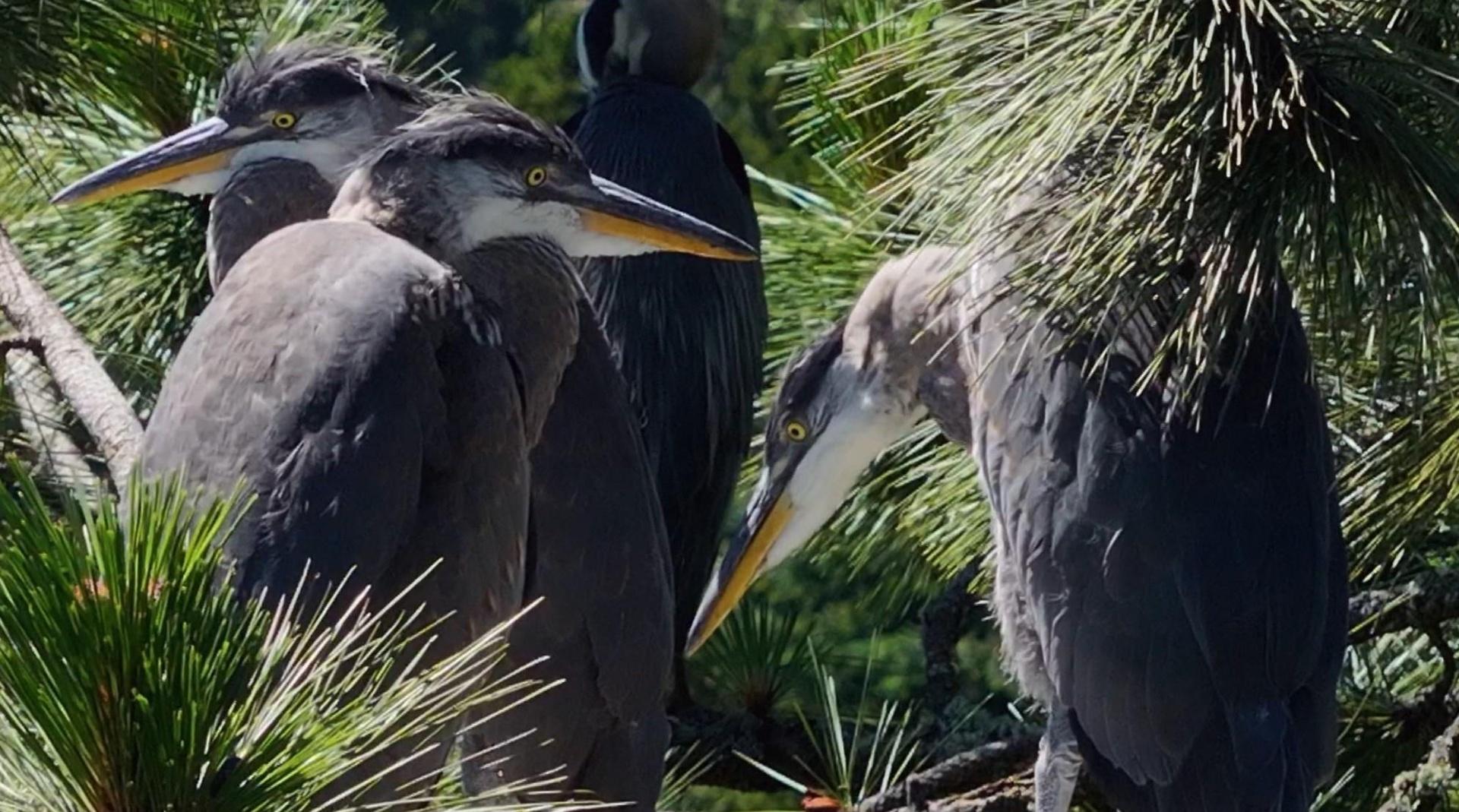 Oregon Field Guide - Episodes | Cascade PBS