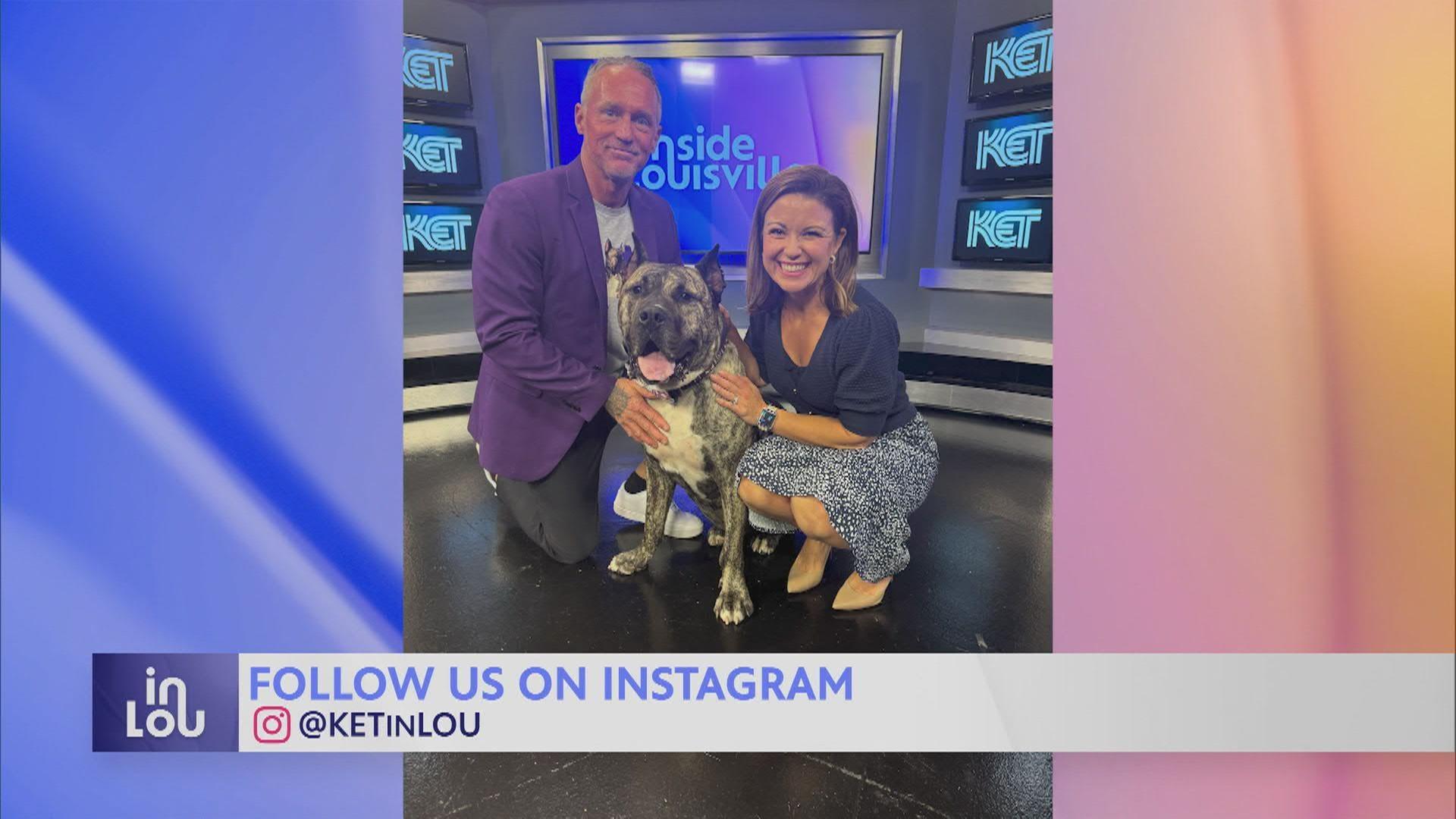 Miracle Dog: Ethan Almighty | Inside Louisville