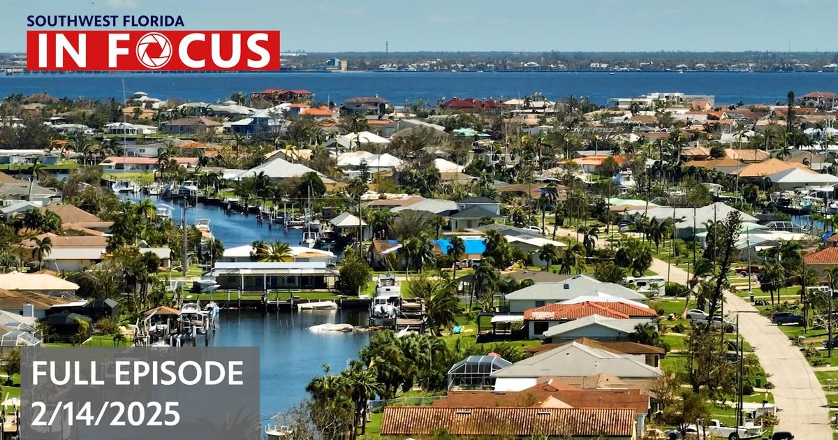 Southwest Florida In Focus | Season 2025 | Southwest Florida In Focus ...