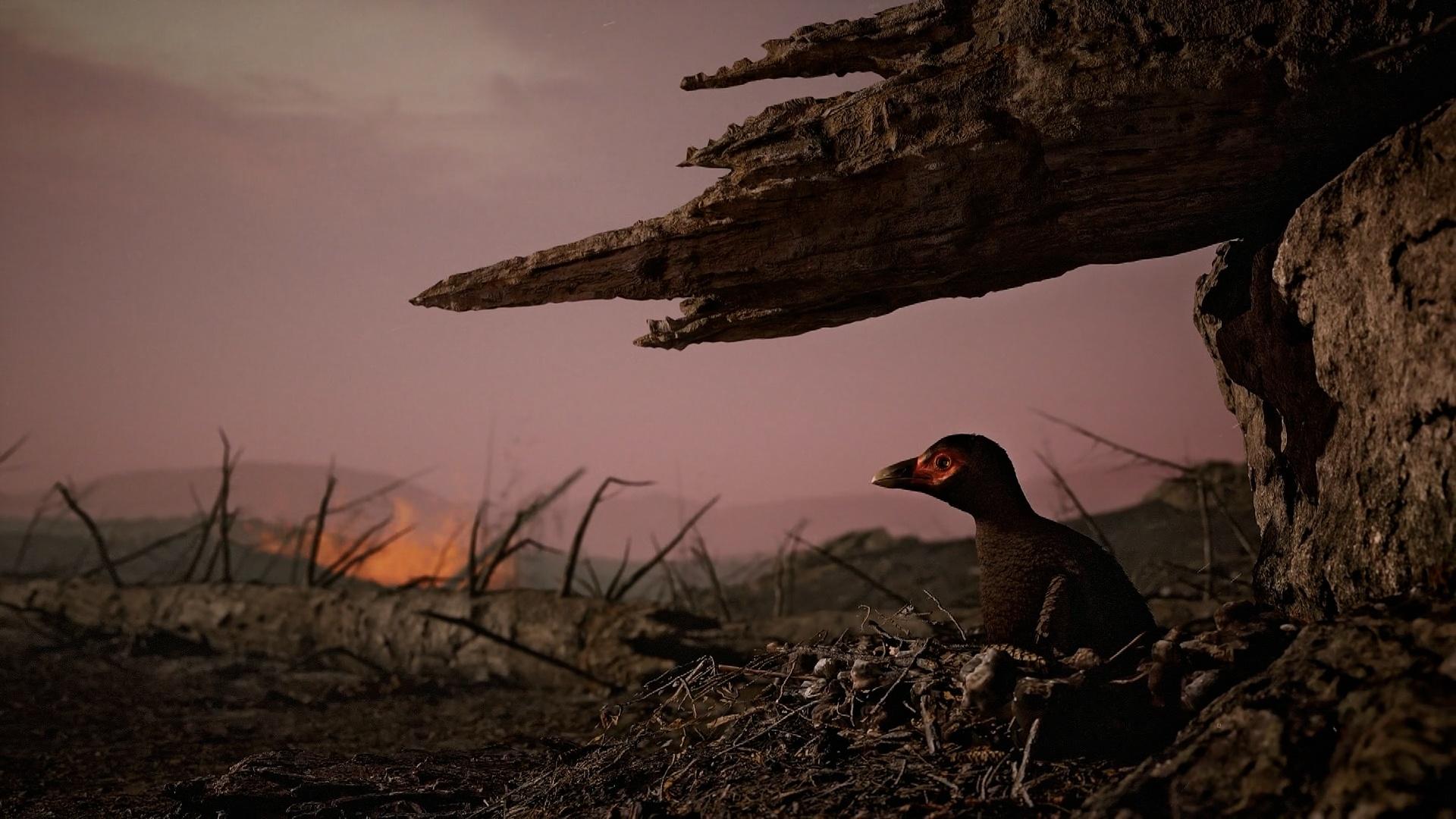 How Birds Survived the Dinosaur Apocalypse | NOVA | WLIW