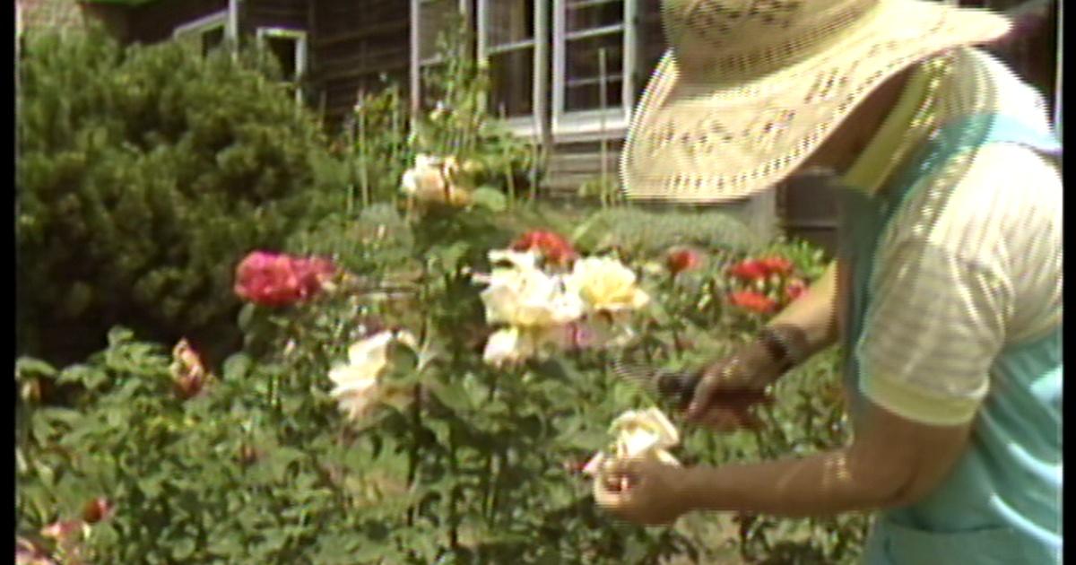 From a Country Garden | Roses and Friends | Season 4 | Episode 3 | PBS