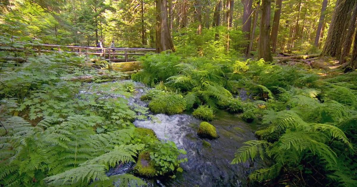Oregon Field Guide | River Adventures | Season 28 | Episode 2815 | PBS
