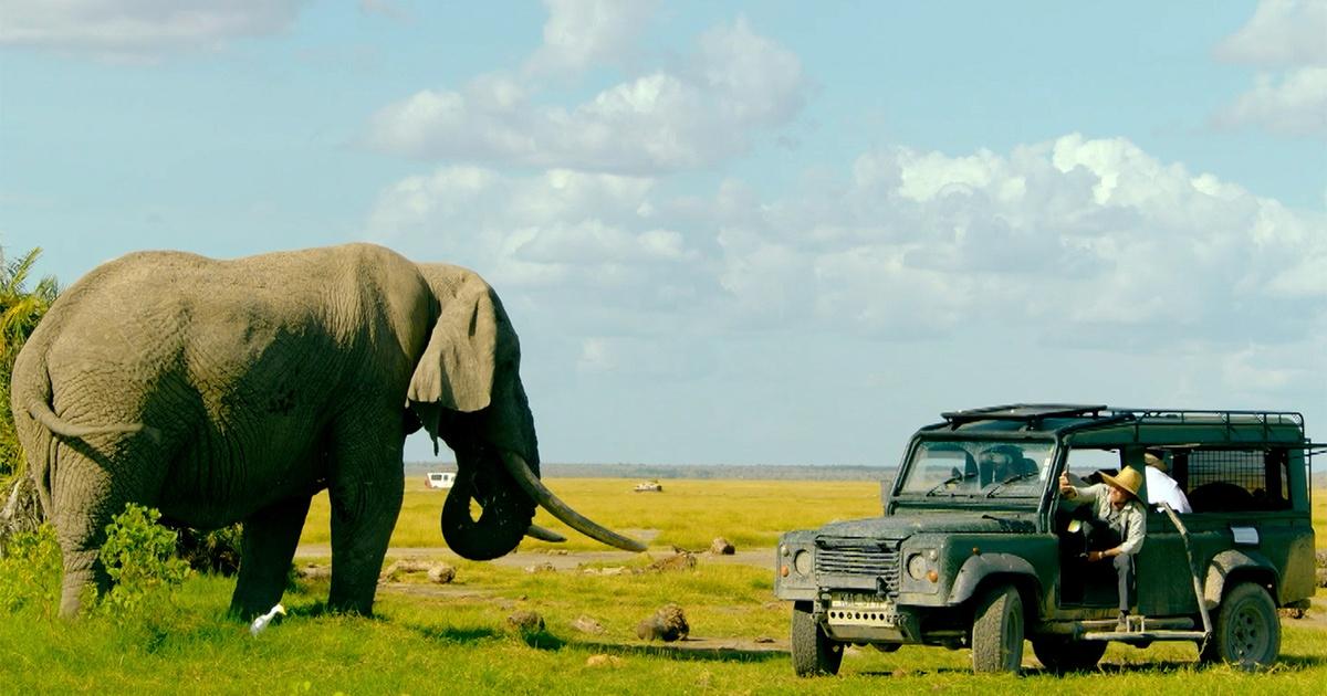 Nature | What It Takes to Film Elephants in the Wild | Season 44 ...