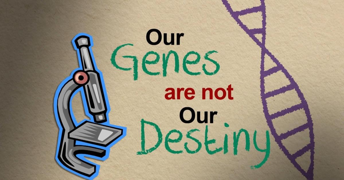 KSPS Documentaries | Our Genes are Not Our Destiny | PBS