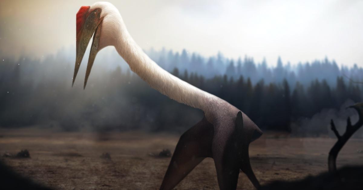 Eons | When Pterosaurs Walked | Season 4 | Episode 16 | PBS