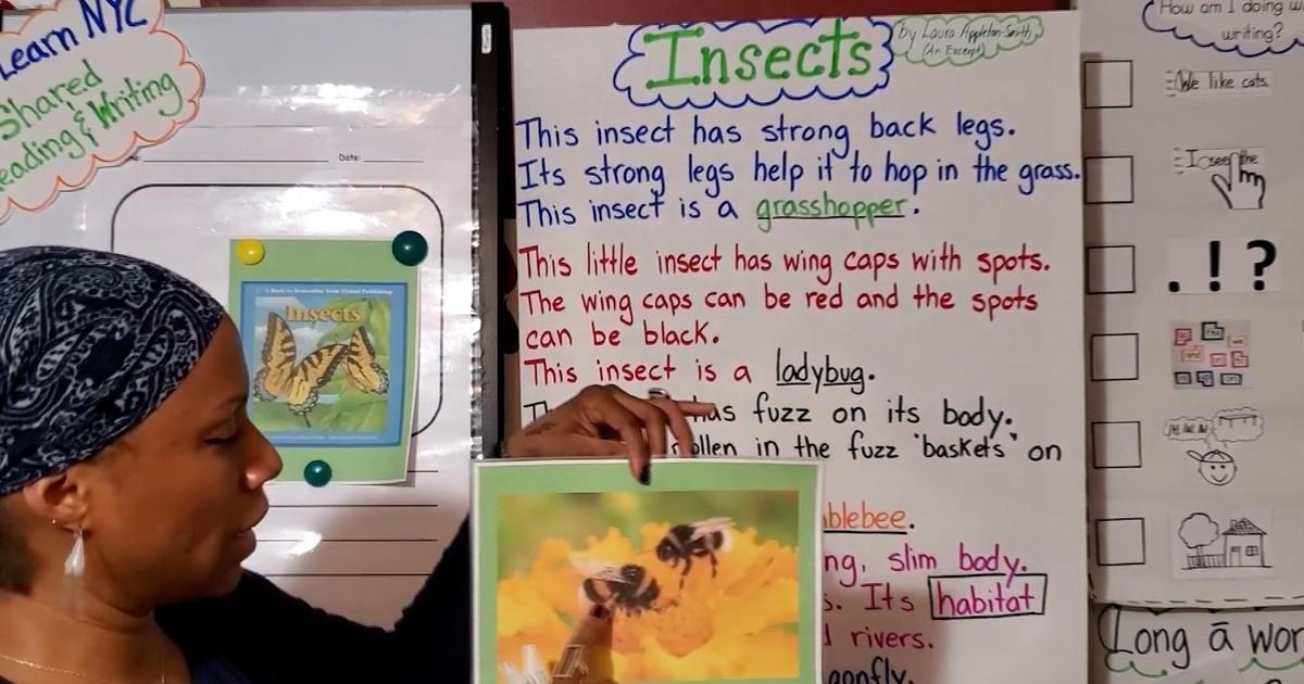 Let's Learn | INSECTS | KERA