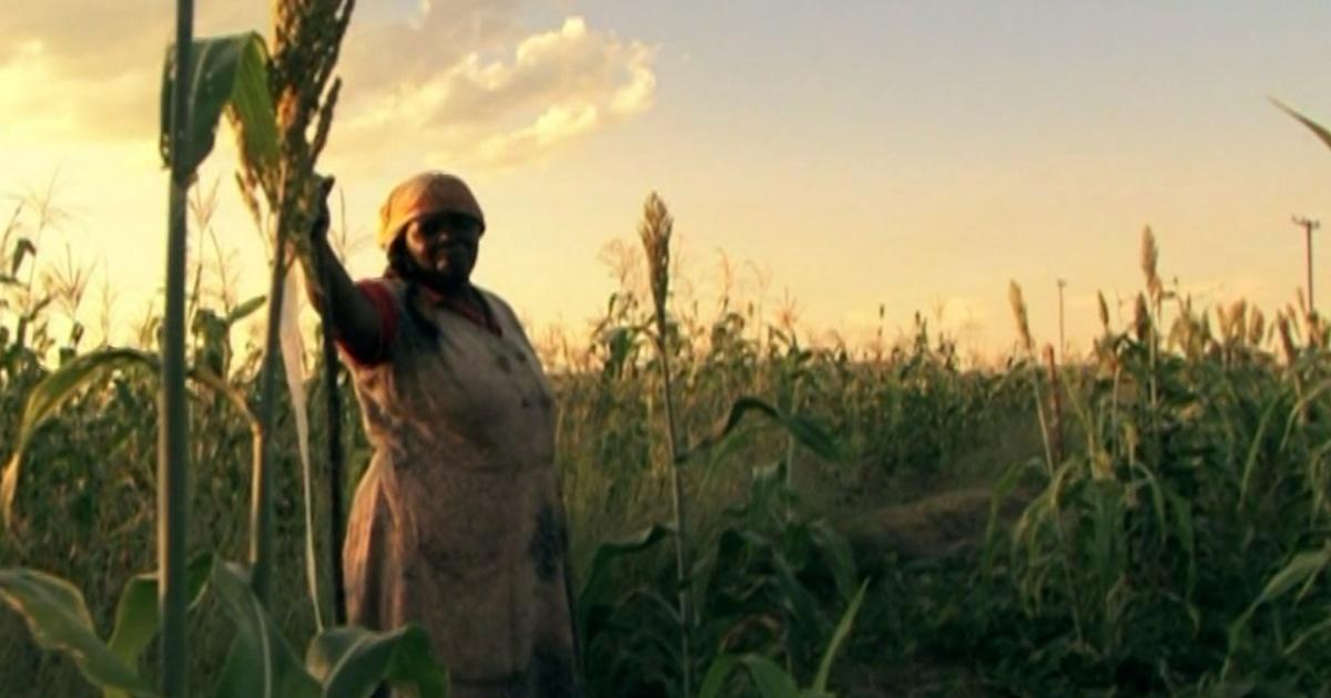 Earth Focus | Women and the Changing Environment | PBS