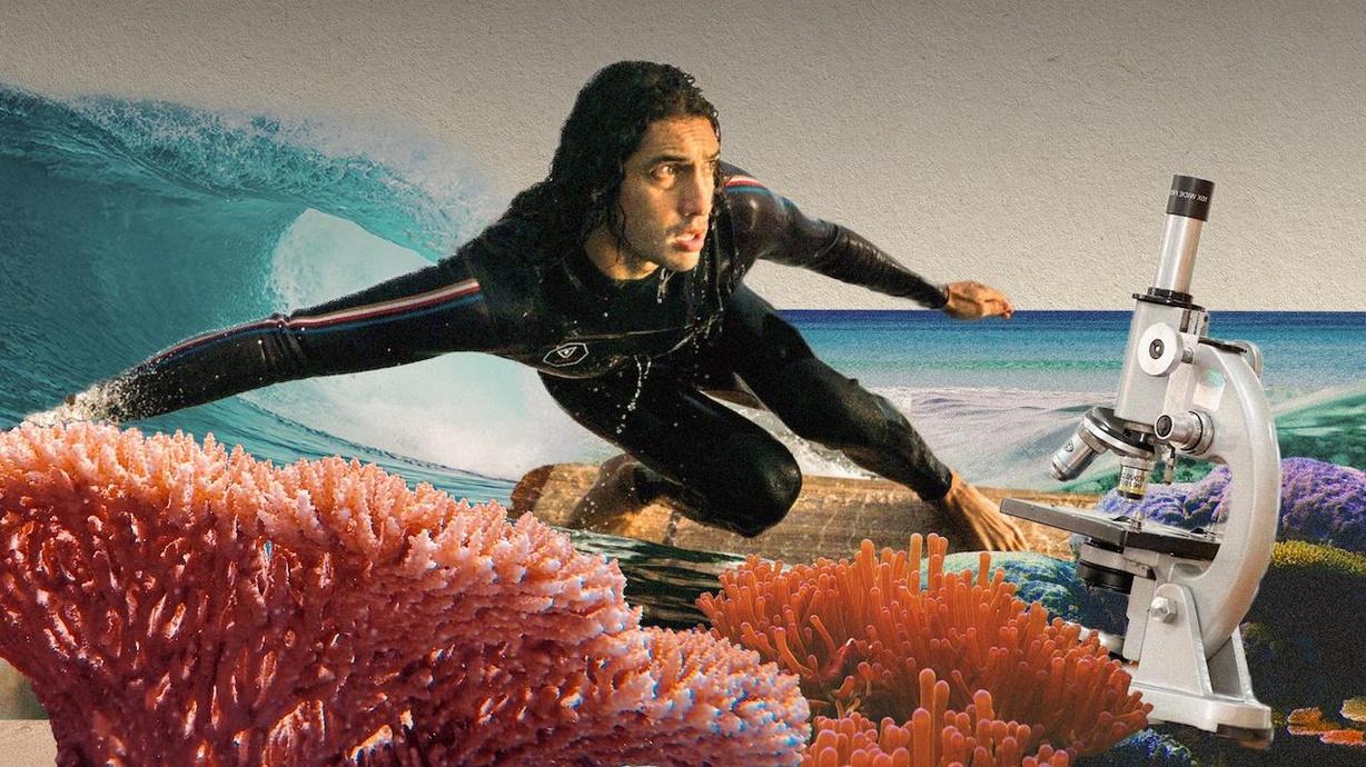 Understory | The Scientist Surfing to Fight Climate Change | Watch on ...