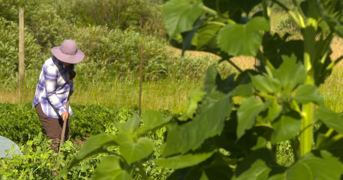 Great Gardening | Fall Harvest Special 2022 | Season 20 | Episode 10 | PBS