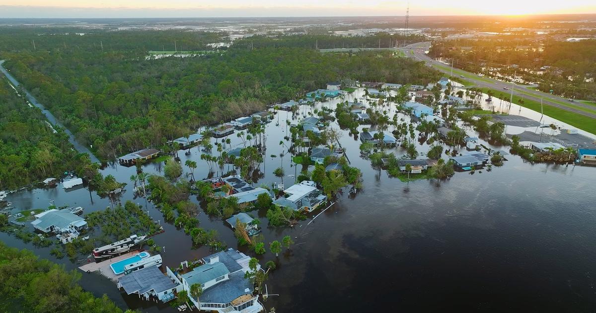 Local Routes | How to Protect Florida Coasts from Hurricane Storm Surge ...