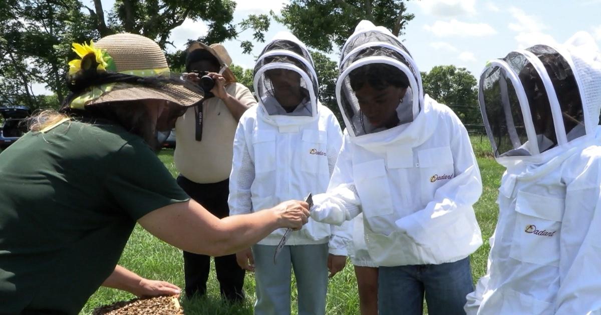 Kentucky Edition | Students Visit Working Apiary to Learn About Bees ...