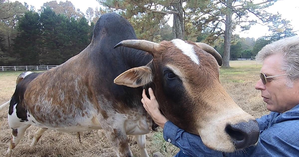 Your Fantastic Mind | Glioblastoma, Proteomics, and Brain Science in ...