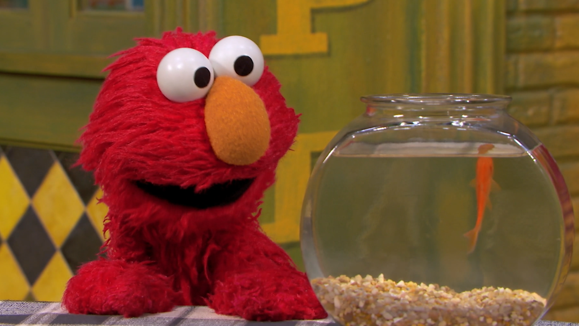 Elmo and Abby’s Ocean Adventure | Watch online at WTTW.com