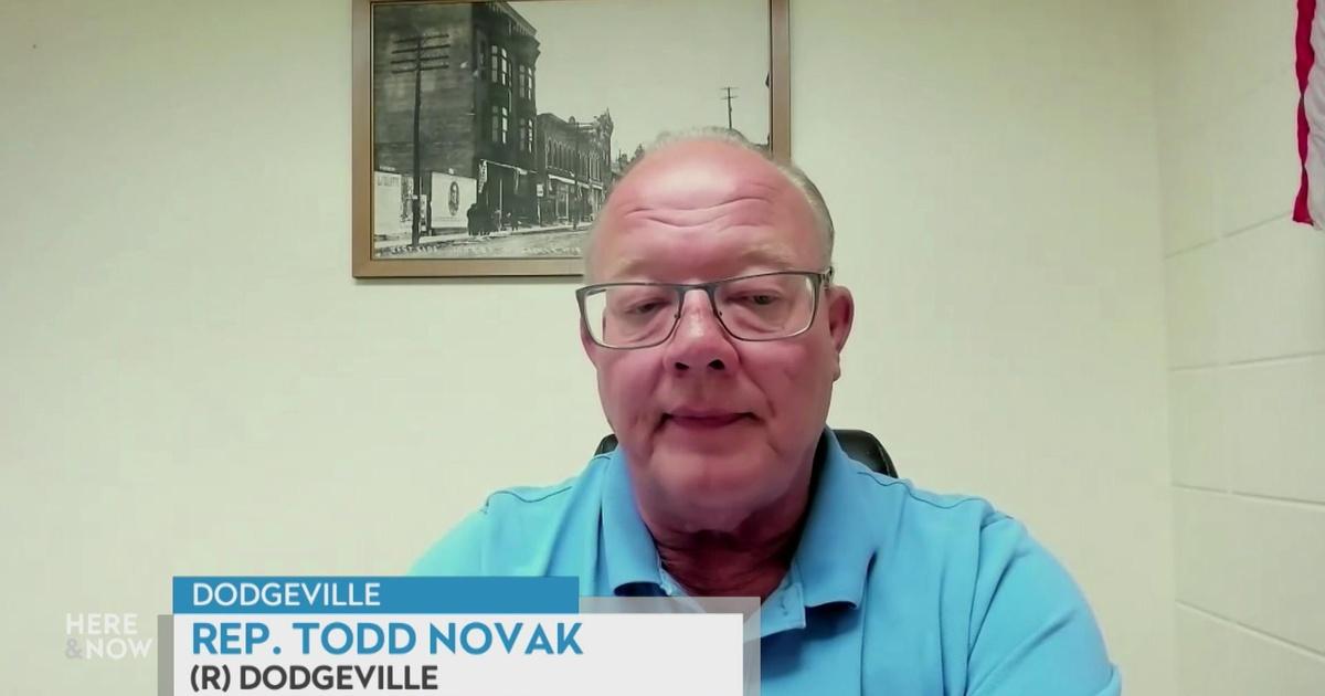 Here and Now | Rep. Todd Novak on a Surprise Republican Redistricting ...