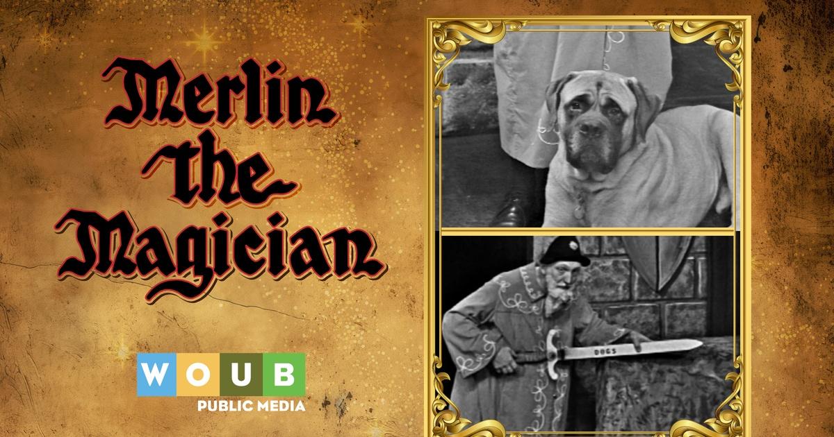 Merlin the Magician | Dog Training | PBS