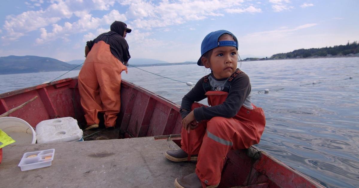 Local, USA | Scha'nexw Elhtal'nexw Salmon People: Preserving a Way of ...