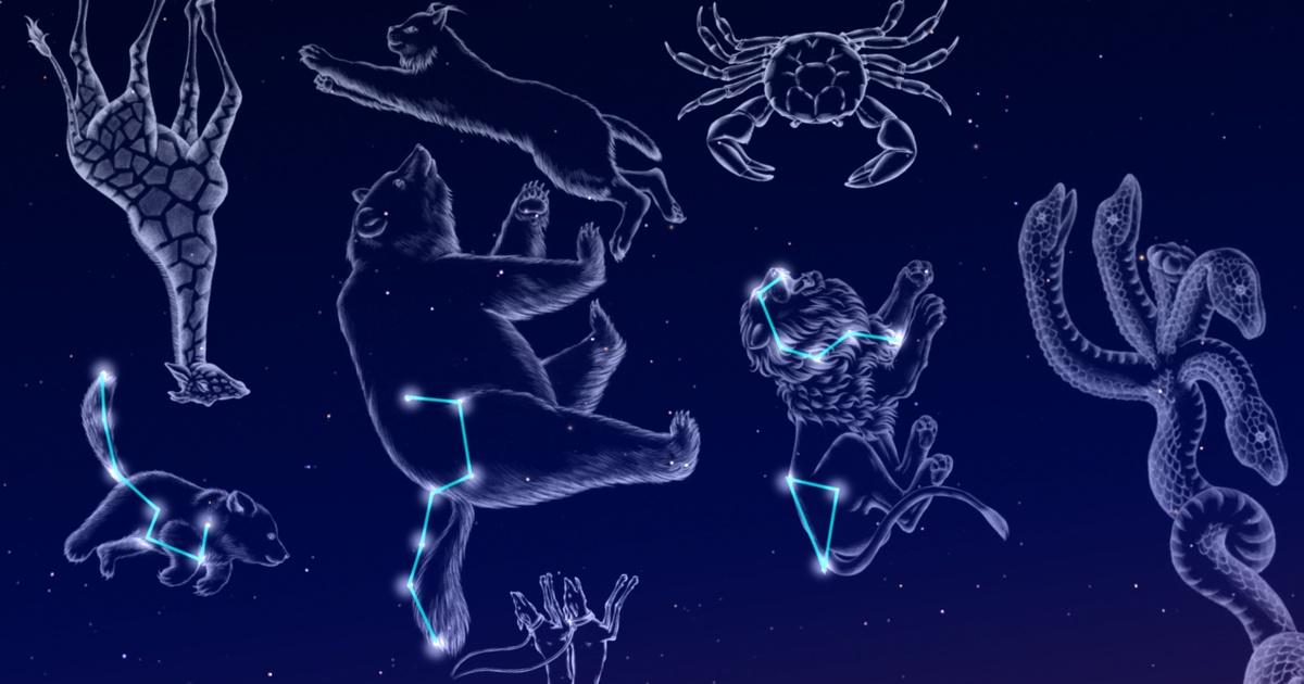 Star Gazers | PBS