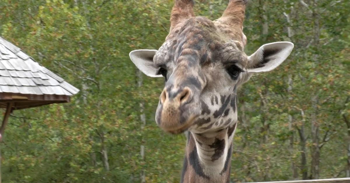 Short Takes | Lehigh Valley Zoo | Season 9 | WHYY