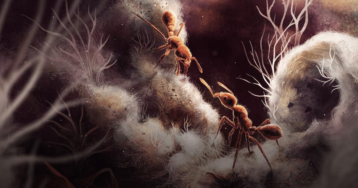Eons | When Ants Domesticated Fungi | Season 4 | Episode 29 | PBS