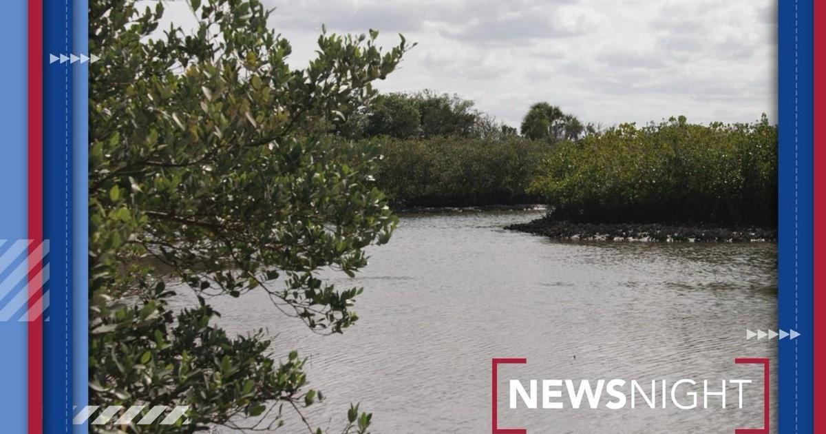 NewsNight | More Funds Awarded for Florida Water Quality Projects ...