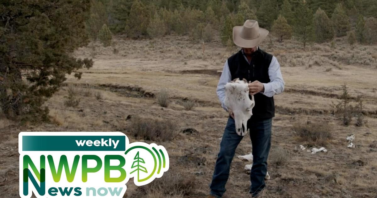 NWPB Weekly News Now | PBS