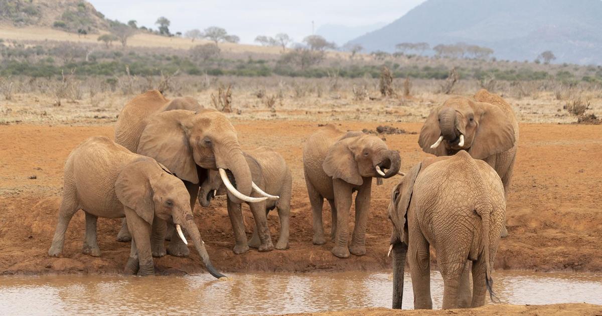 Changing Planet | Season 2 | Episode 2 | PBS