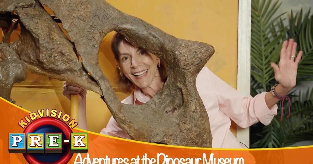 KidVision Pre-K | Adventures at the Dinosaur Museum | Virtual Field ...