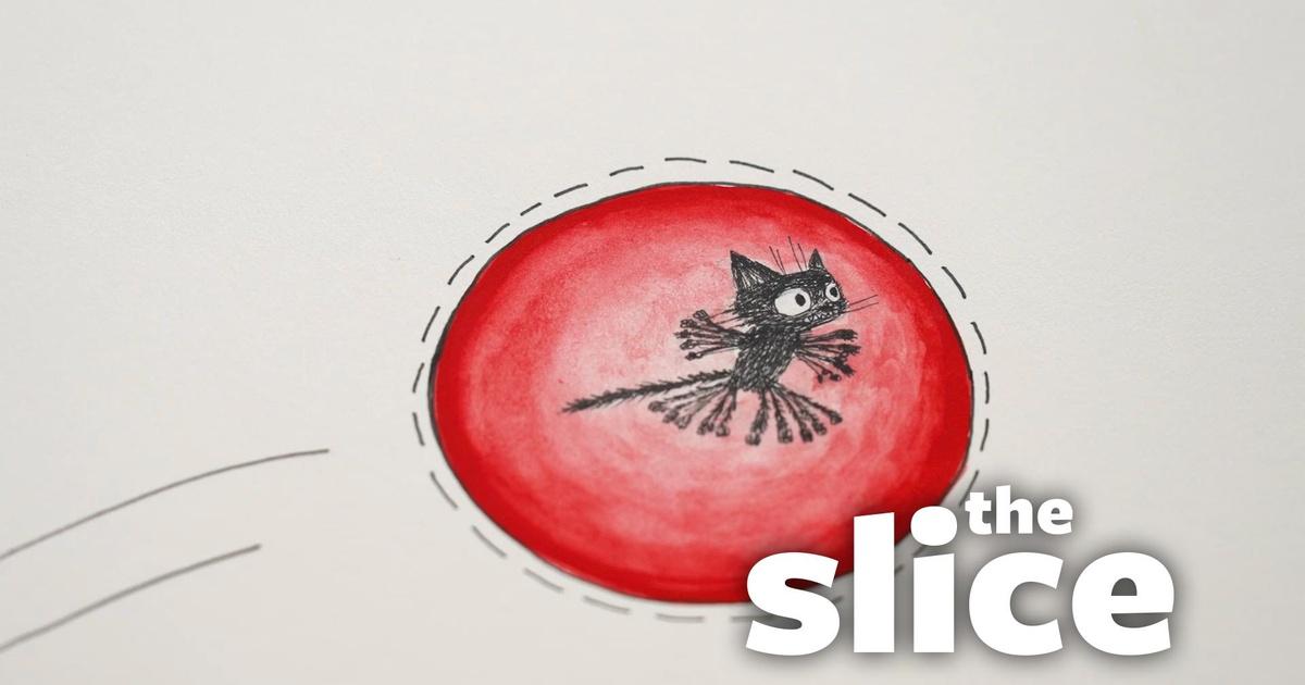 The Slice | Chris Monroe | Season 2025 | PBS