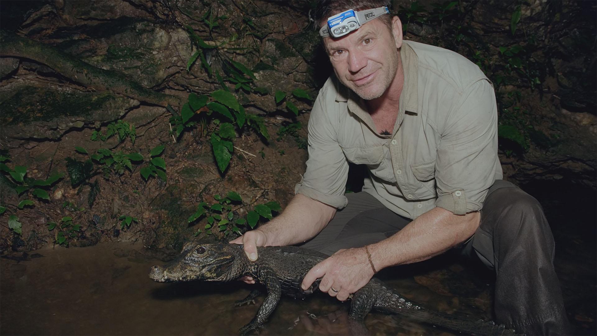 Crocs by Night | Expedition | THIRTEEN - New York Public Media