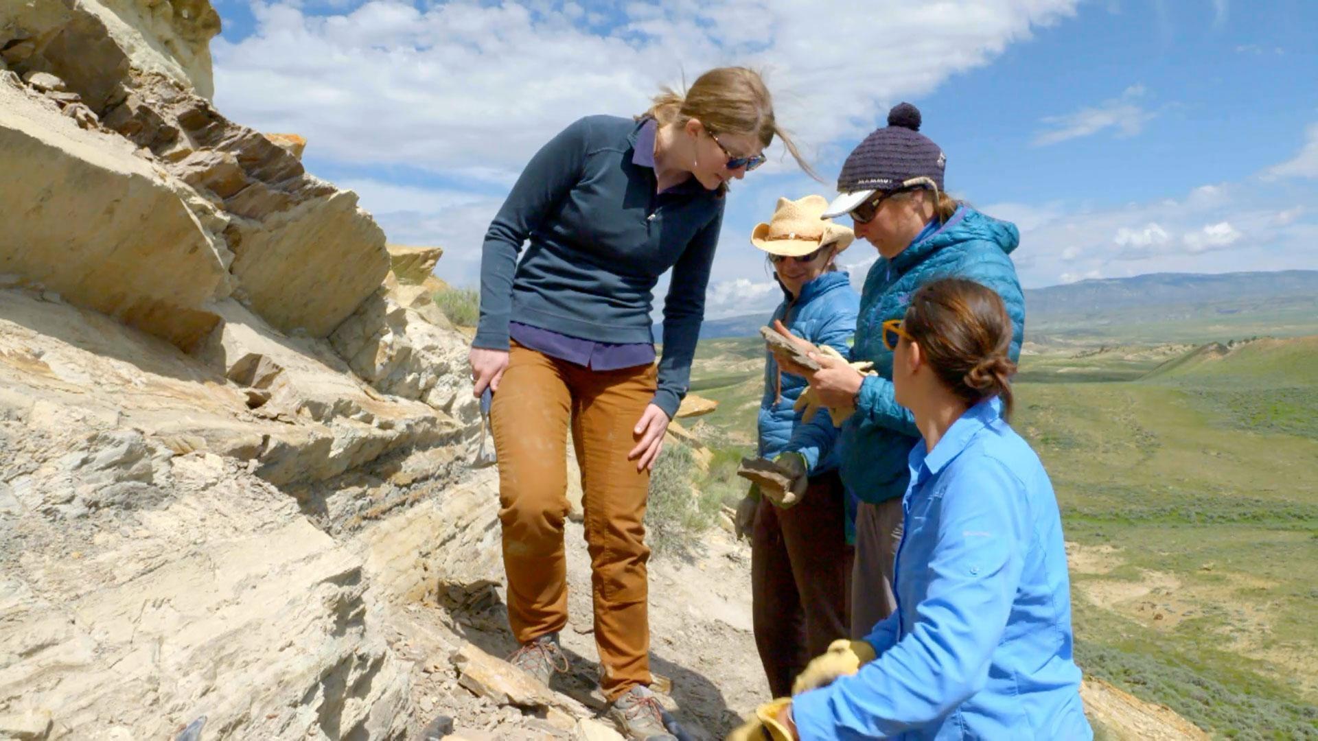 Climate Change in the Fossil Record | Prehistoric Road Trip | ALL ARTS