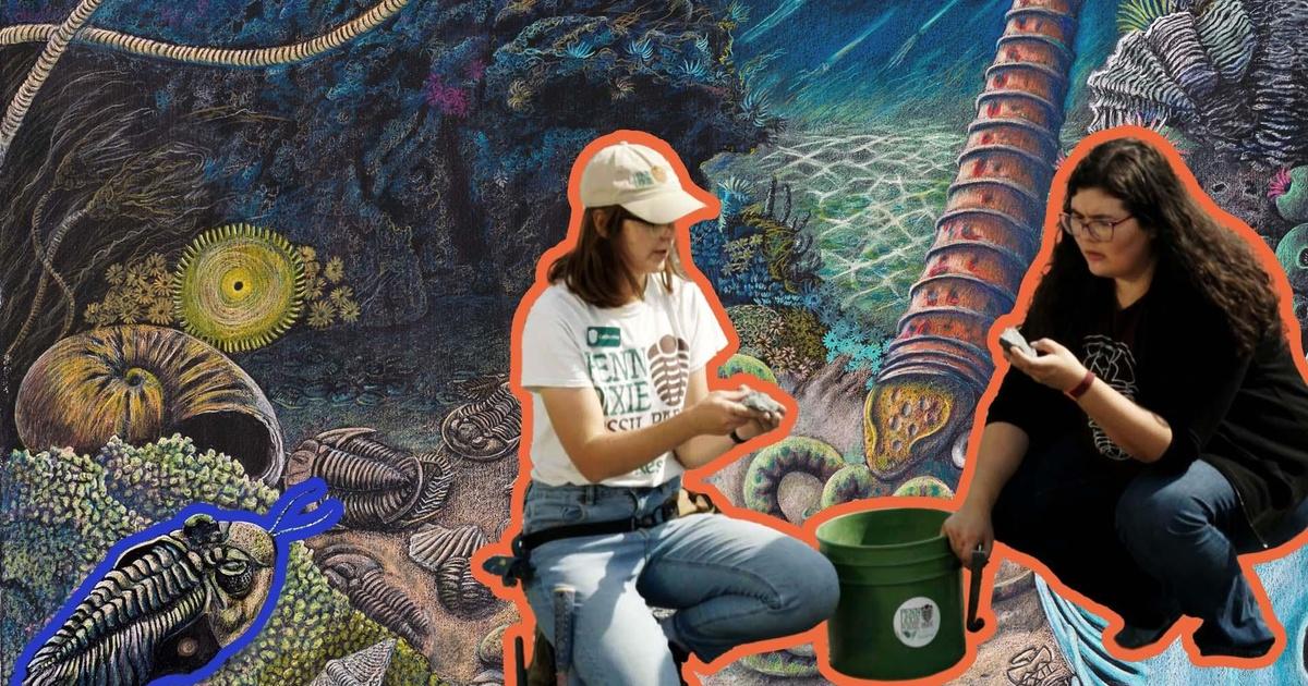 Compact Science | WNY’s Devonian Past | Compact Science | Season 2 ...