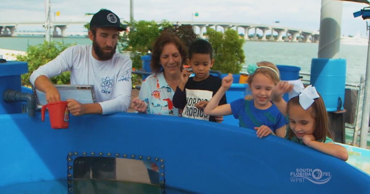 KidVision Pre-K | KidVision Pre-K Miami Science Barge Field Trip ...