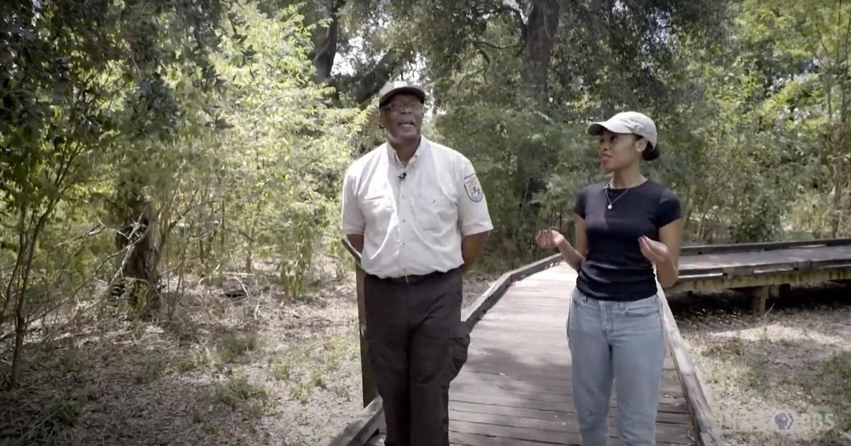 Louisiana: The State We're In | Auto Rates, Bayou Wildfire, Post ...