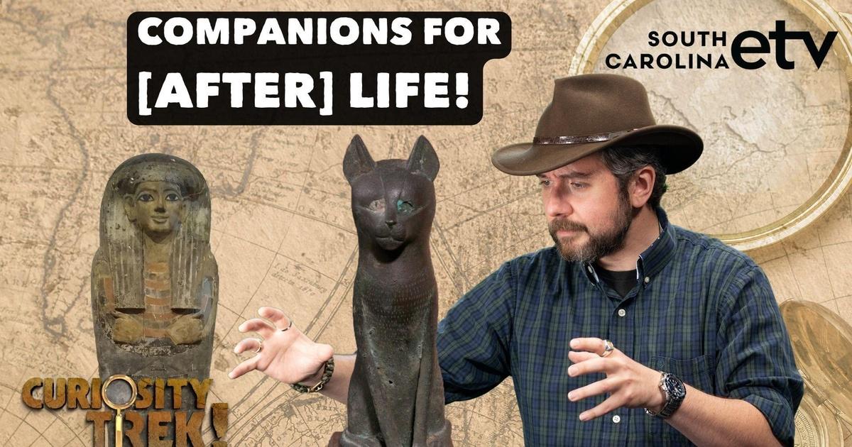 Curiosity Trek! | PBS