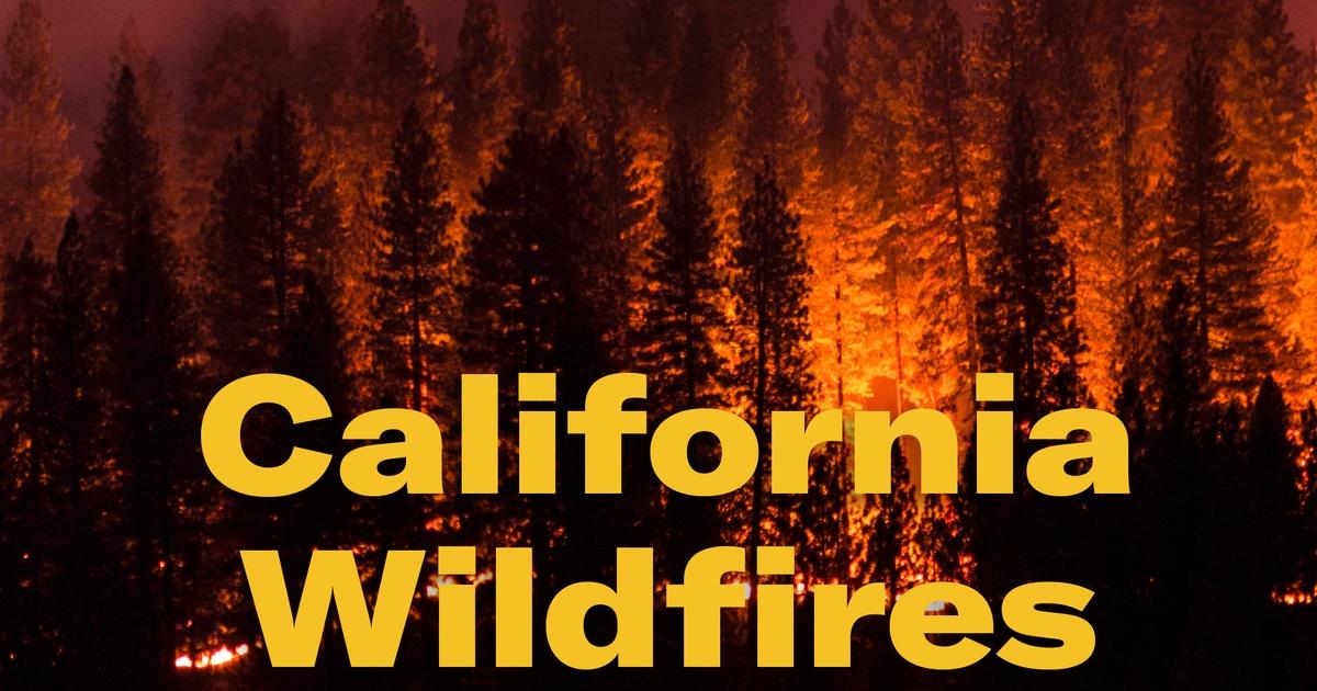 KQED NEWSROOM | CAL FIRE Director Joe Tyler | Season 9 | Episode 45 | PBS