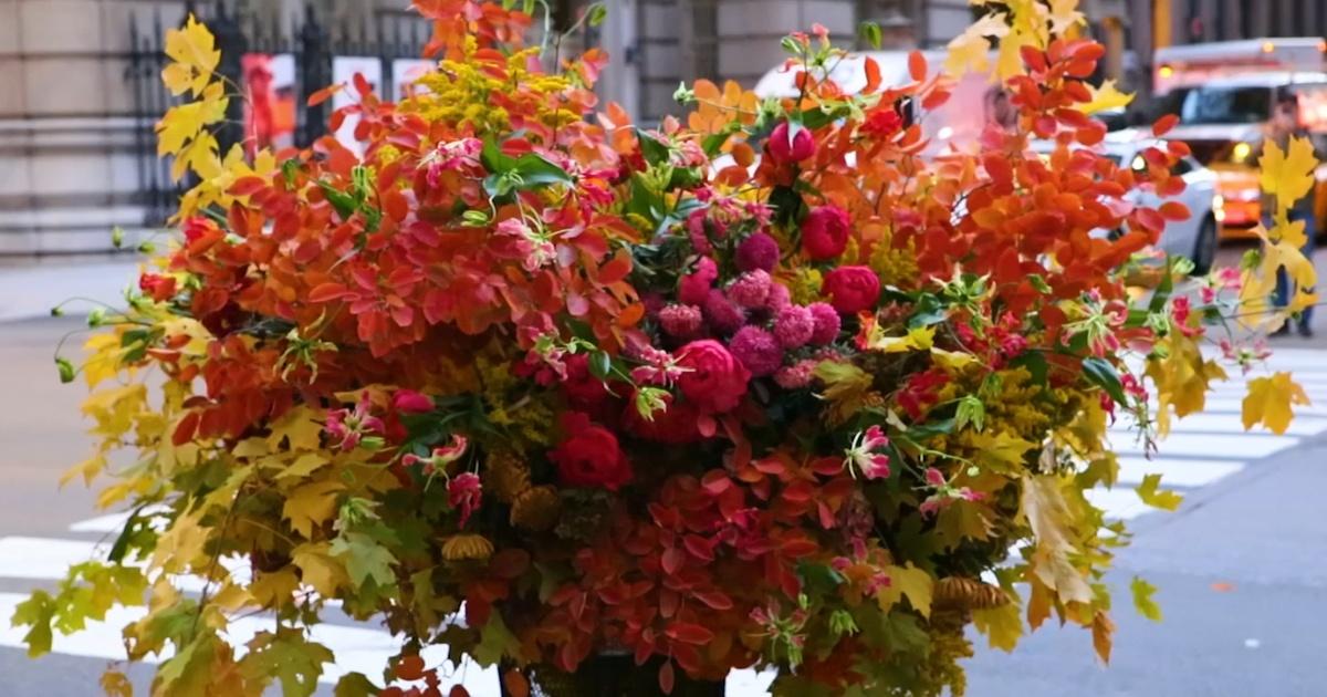 NYC-ARTS | NYC-ARTS Choice: "Flower Flash" | Season 2019 | Episode 428 ...