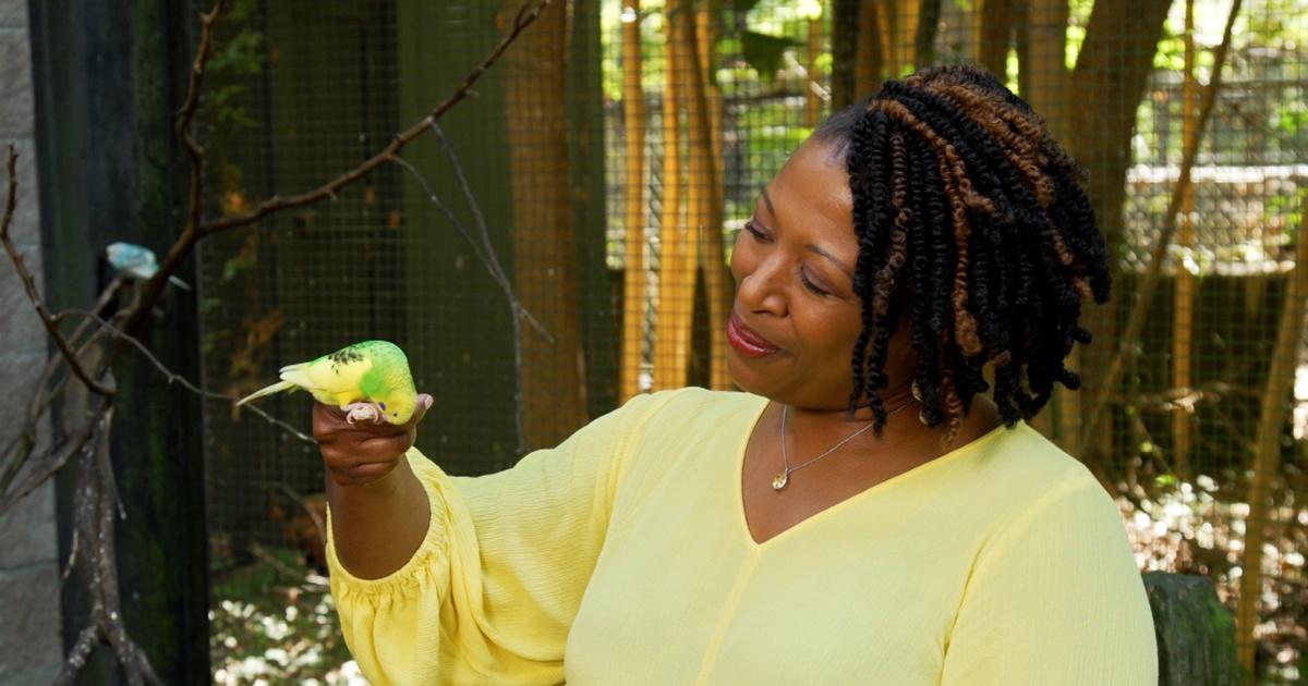 North Carolina Weekend | Preview | Connect with Nature | Season 21 ...