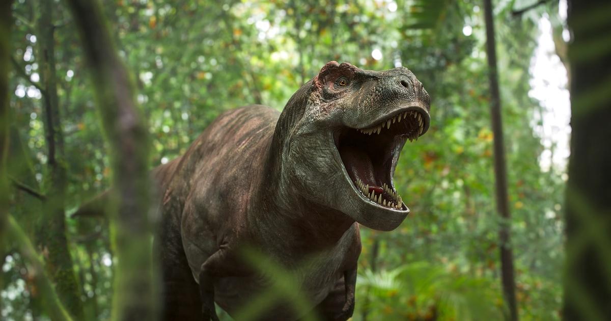 Walking with Dinosaurs | The Orphan | Episode 1 | PBS