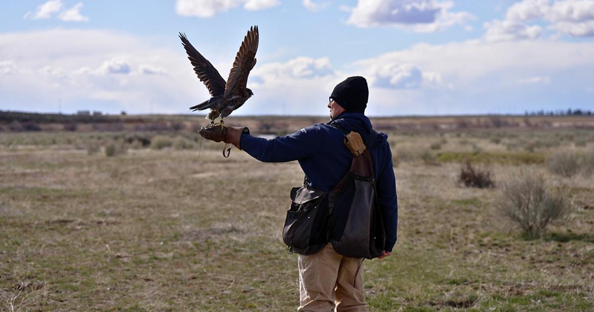 Outdoor Idaho | The Art of Falconry | Season 41 | Episode 1 | PBS