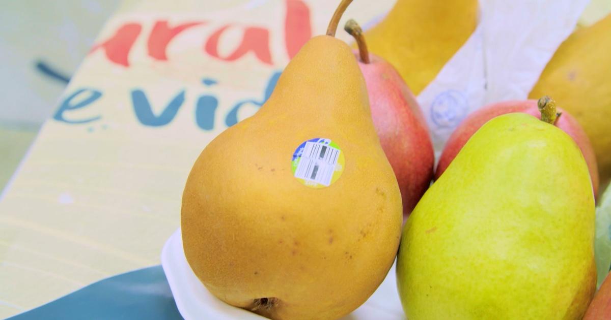 Washington Grown | Washington Pears | Season 11 | Episode 1109 | PBS