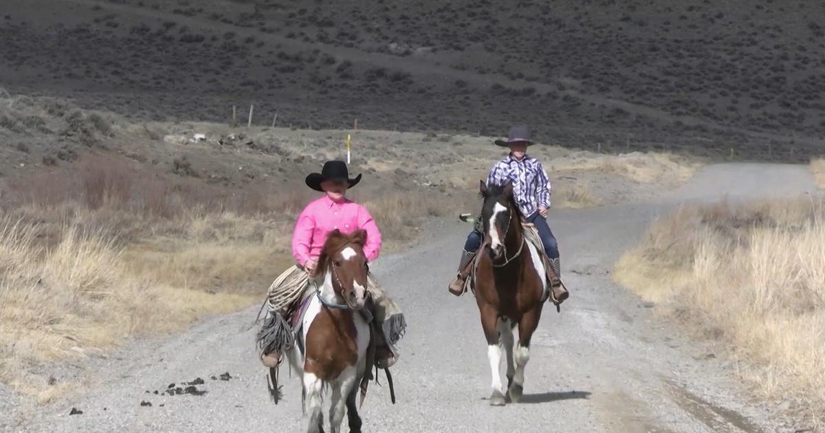 Camp TV | Cowboy Kids | Season 2021 | PBS