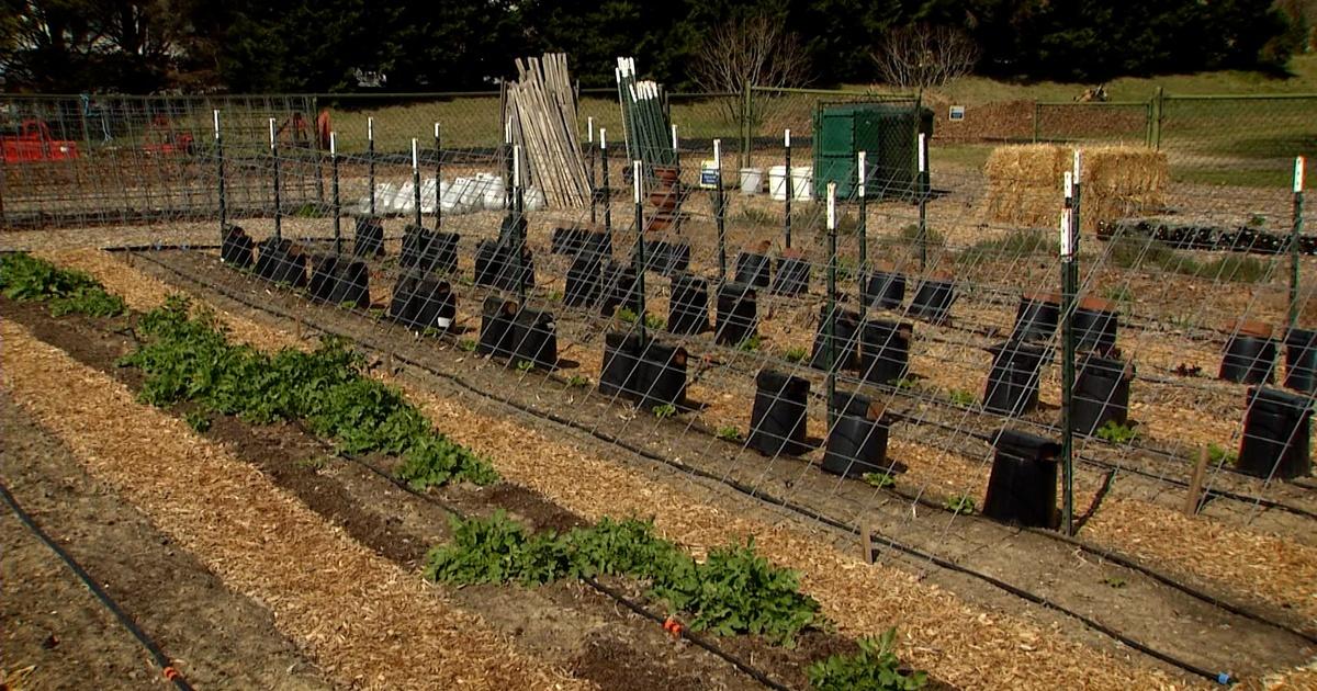 Virginia Home Grown | Farm to table garden | Season 23 | Episode 1 | PBS