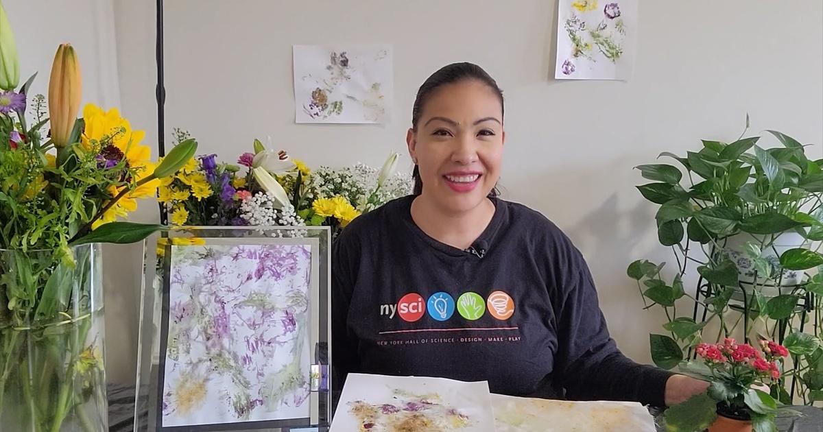 Let's Learn | FLOWER EXPLORATIONS | PBS