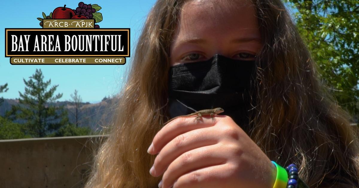 Bay Area Bountiful | Bay Area Bountiful: Living with Climate Change ...