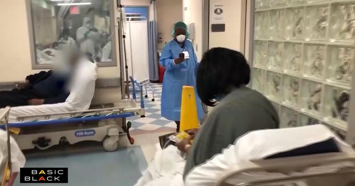 Basic Black | Racial Disparities and COVID-19 | Season 2019 | Episode ...