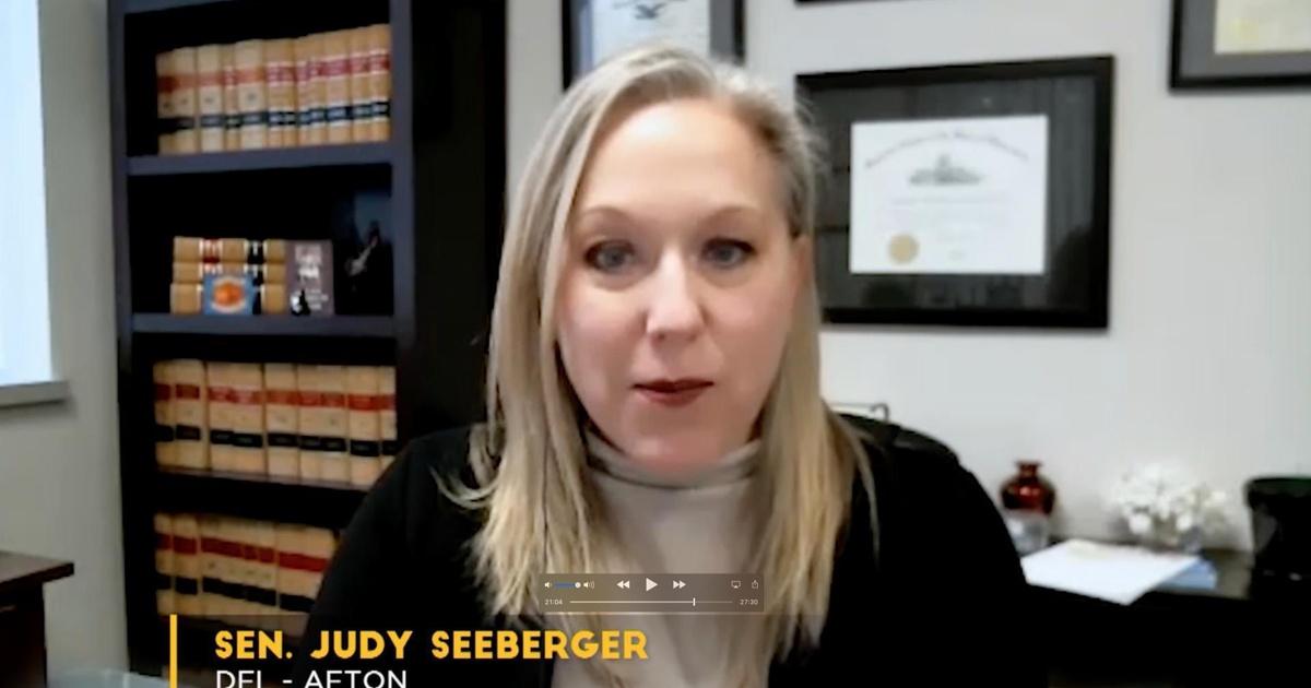 Almanac: At the Capitol | First Term Lawmaker | Sen. Judy Seeberger ...