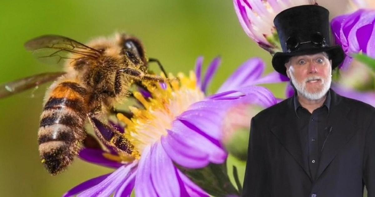 Steve Trash Science | Messy Babies and Pollinators / Your Digital ...