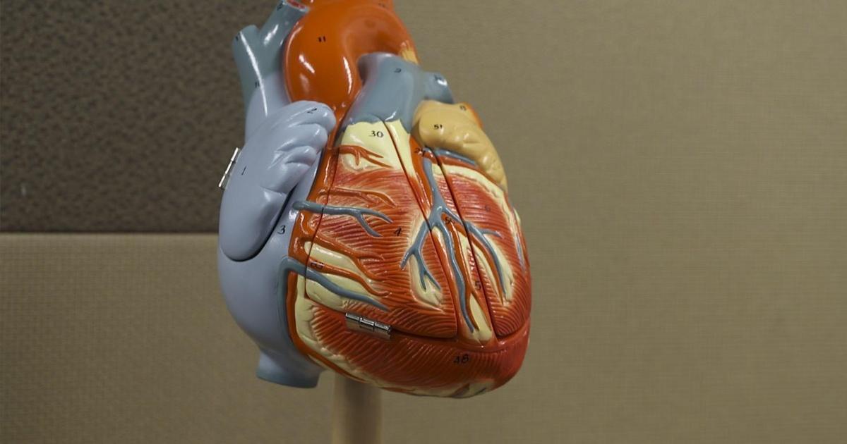 Heart Health | Preventing Heart Disease | PBS